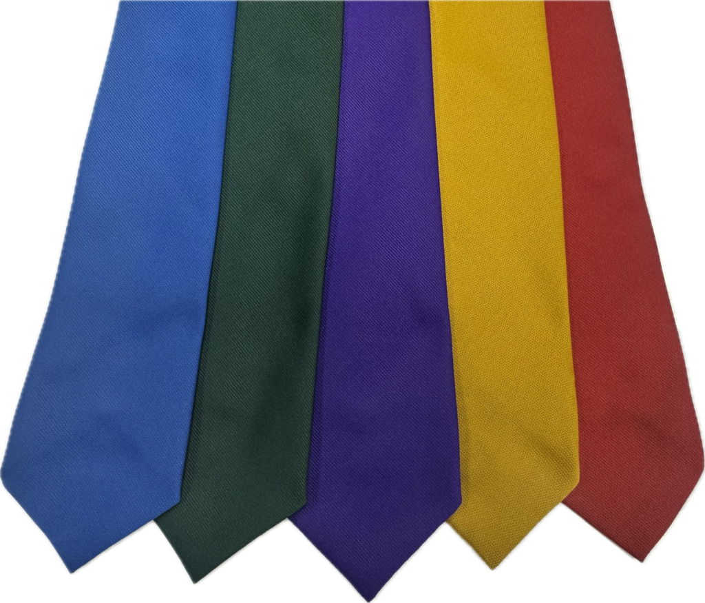 Orion Eden Park Ties in Year Group Colour – WearAbouts Schoolwear